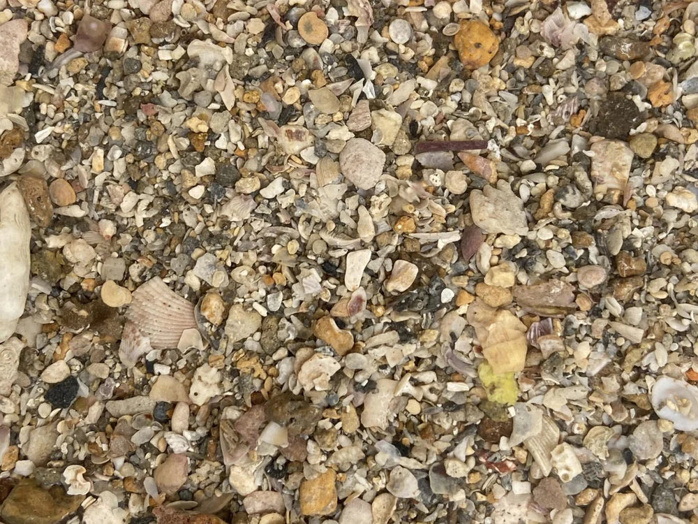 Ultra Live Sand – Tampa Bay Saltwater