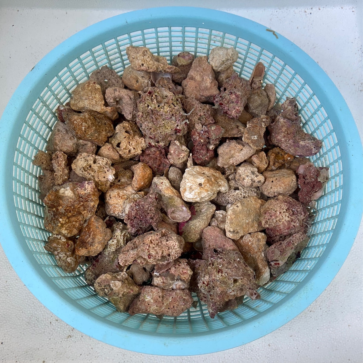 GEO's Cryptic Reactor Rubble Rock - 8 pounds – Tampa Bay Saltwater
