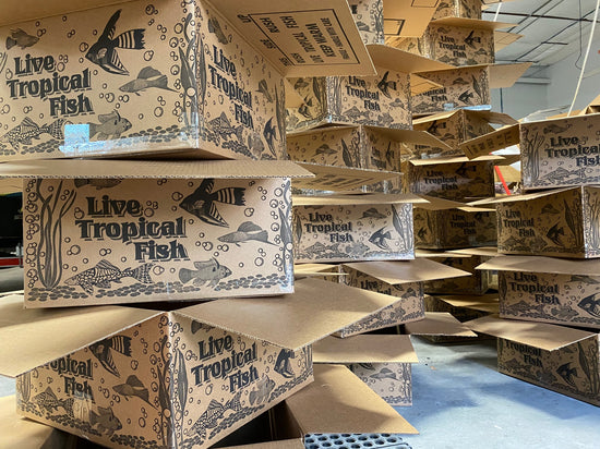 Shipping – Tampa Bay Saltwater