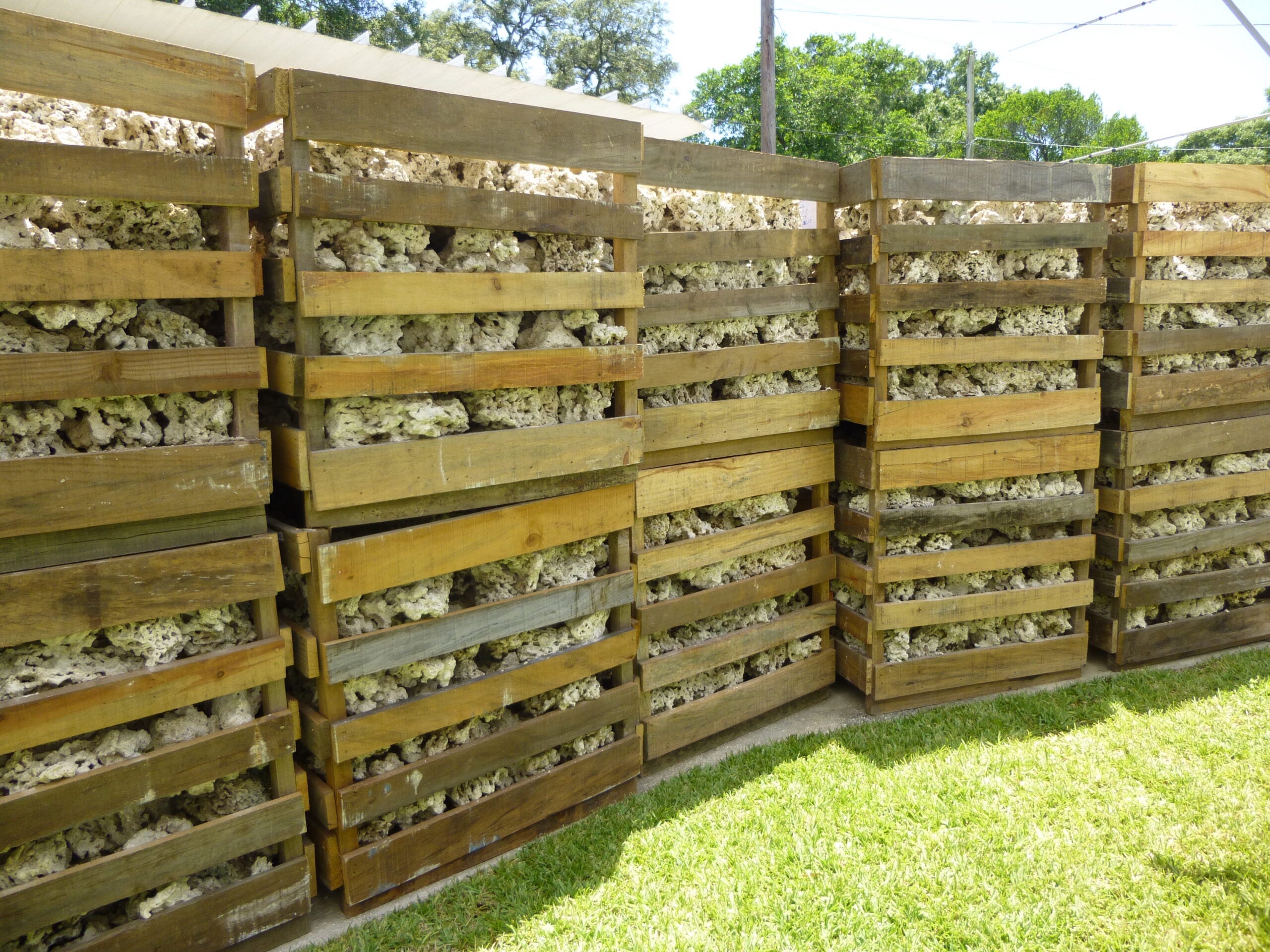 Tampa Bay Saltwater - America's #1 Live Rock for Reef Aquariums