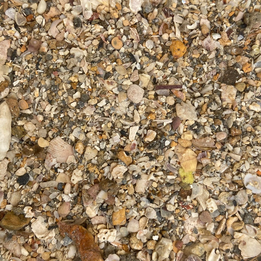 Ultra Live Sand - Air Cargo – Tampa Bay Saltwater