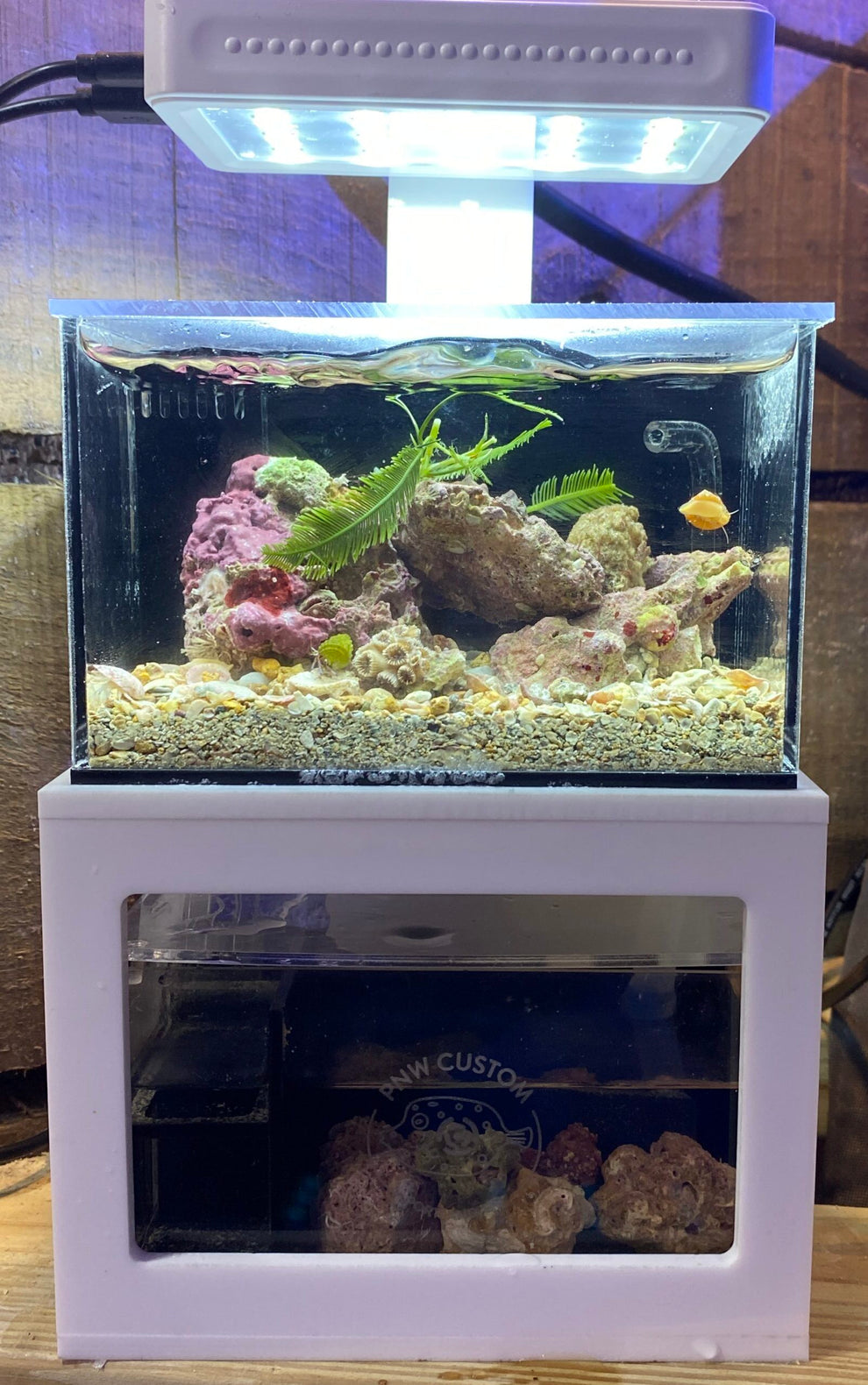 TBS Micro Package – Tampa Bay Saltwater