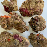 Nano Premium Live Rock - Air Cargo – Tampa Bay Saltwater